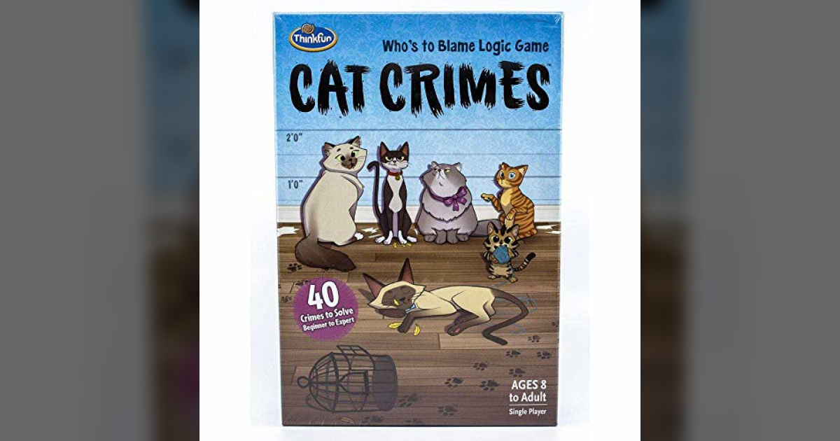 Funny Cat-Themed Logic Game for Kids | Awesome Cat Gifts