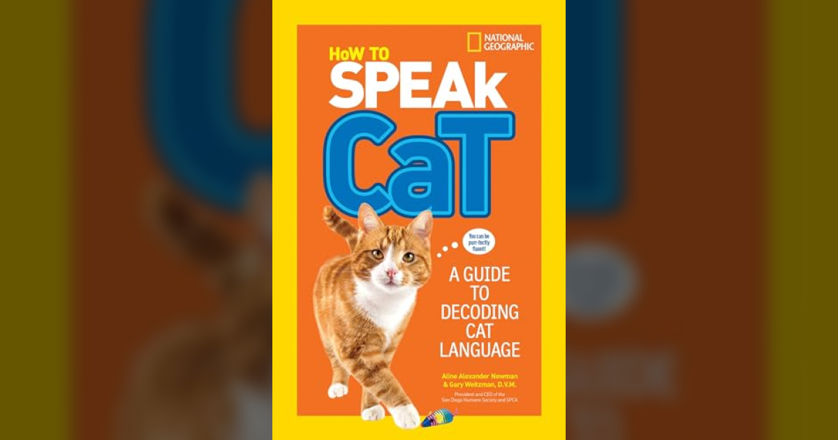 How To Speak Cat Book | Cat Language Understanding Guide