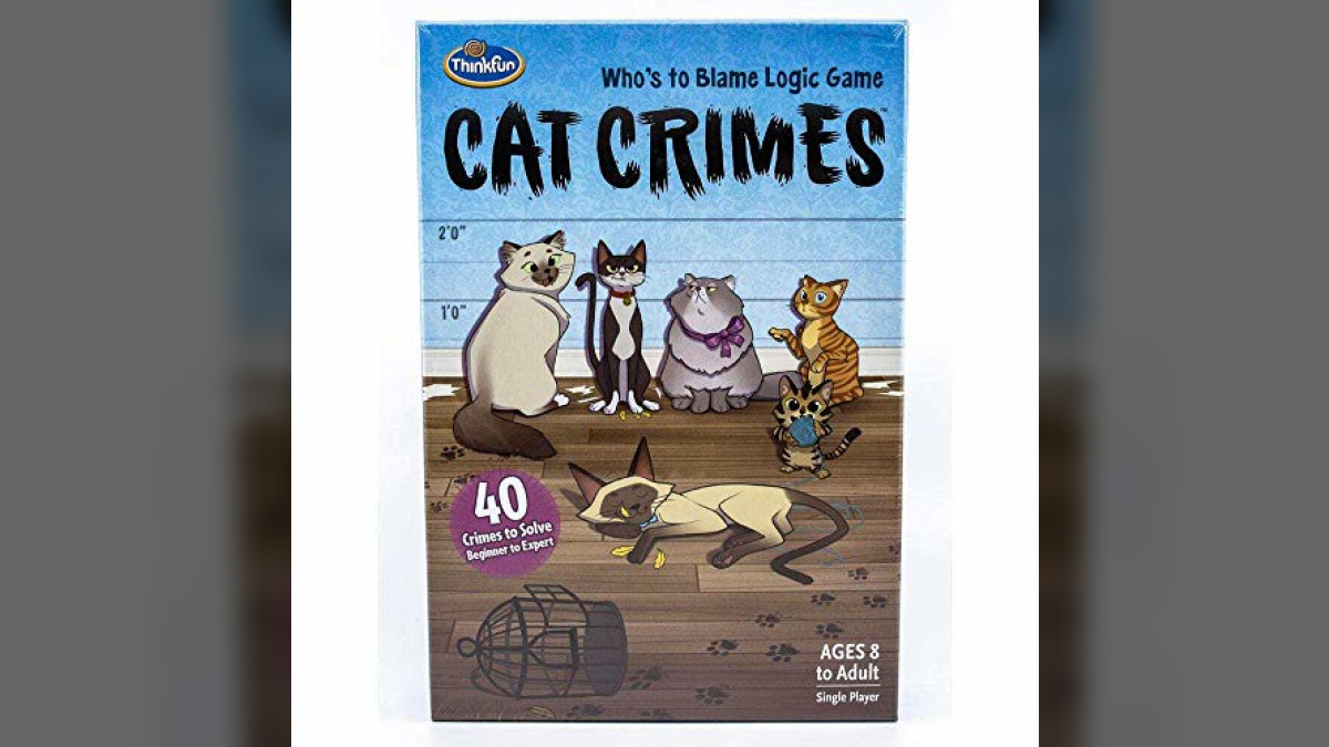 Funny Cat-Themed Logic Game for Kids | Awesome Cat Gifts